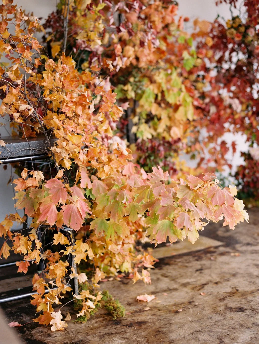 Fall Floral Installation 2022 — Wither and Bloom Designs