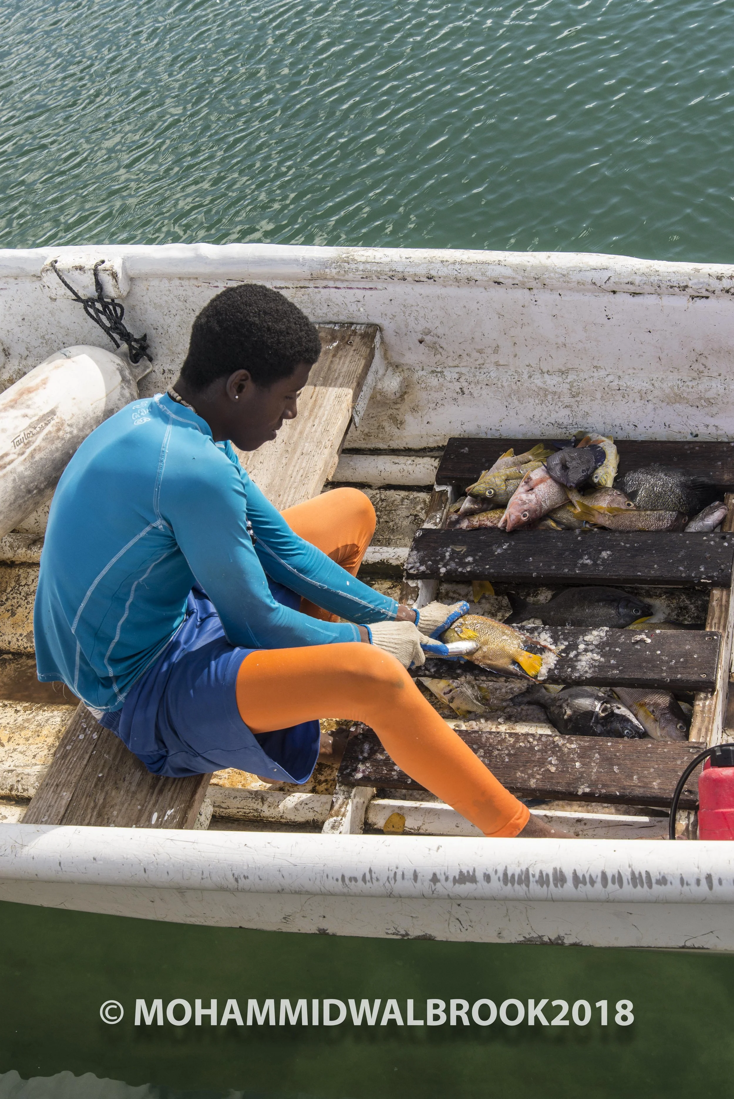 New Page — Water's Edge Museum