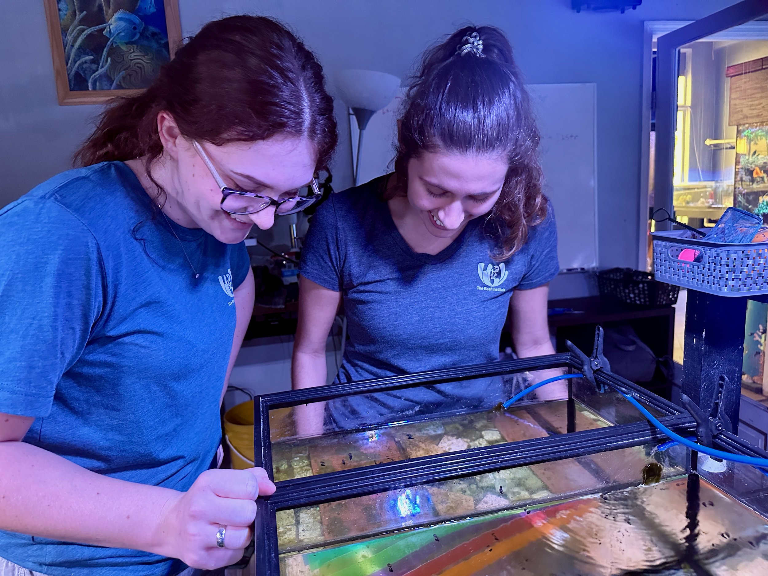 Education — The Reef Institute