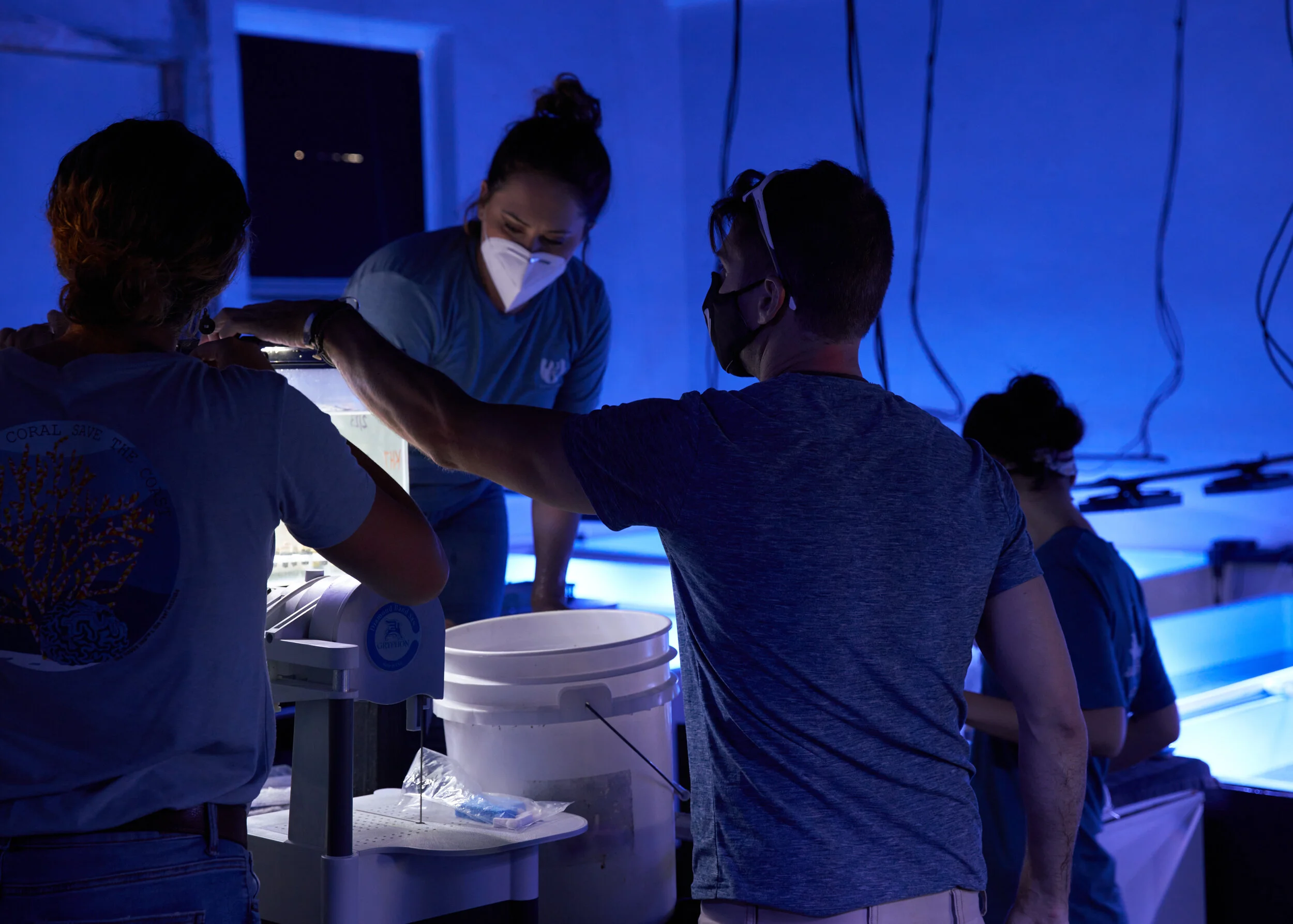 Research — The Reef Institute