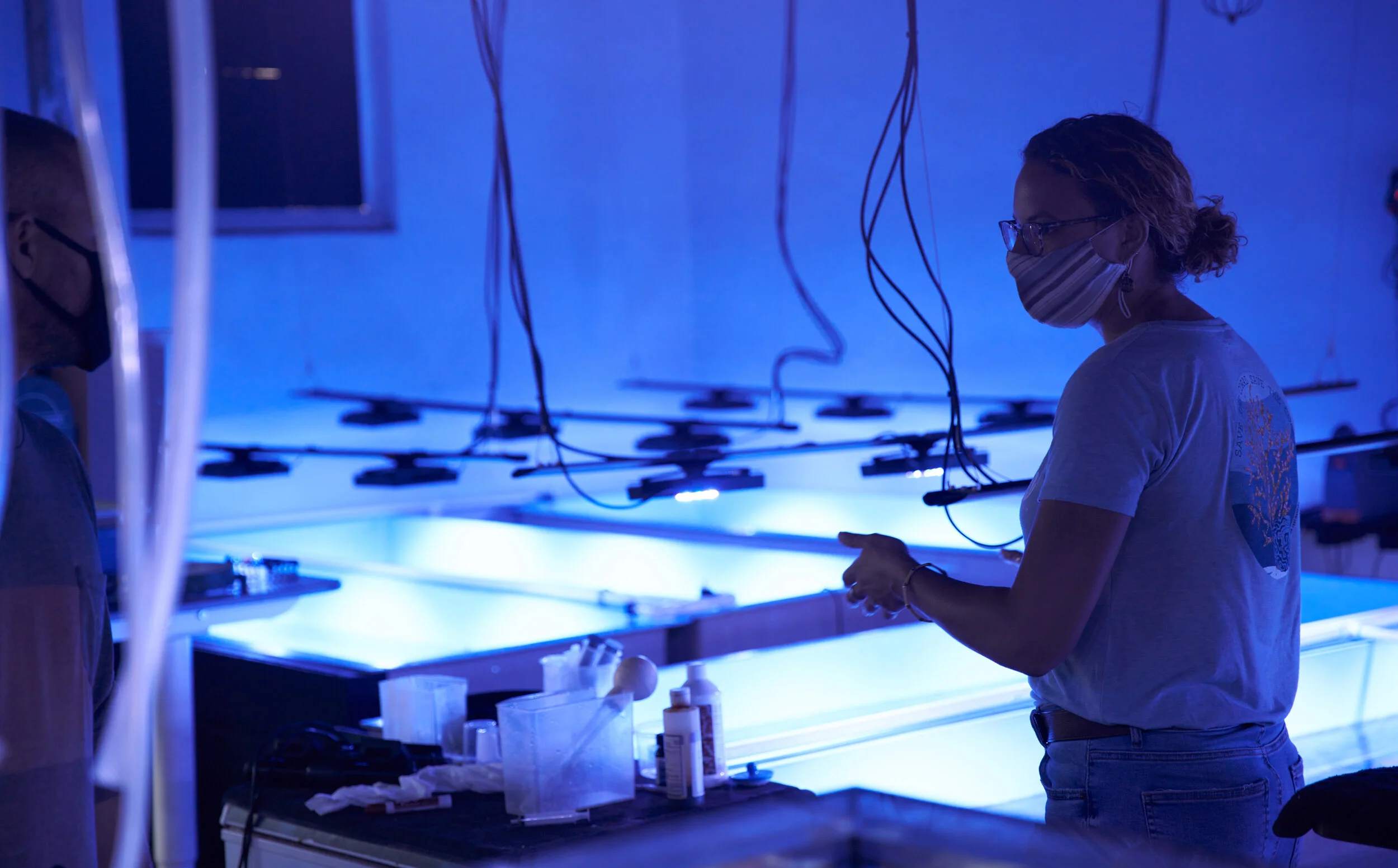 Research — The Reef Institute