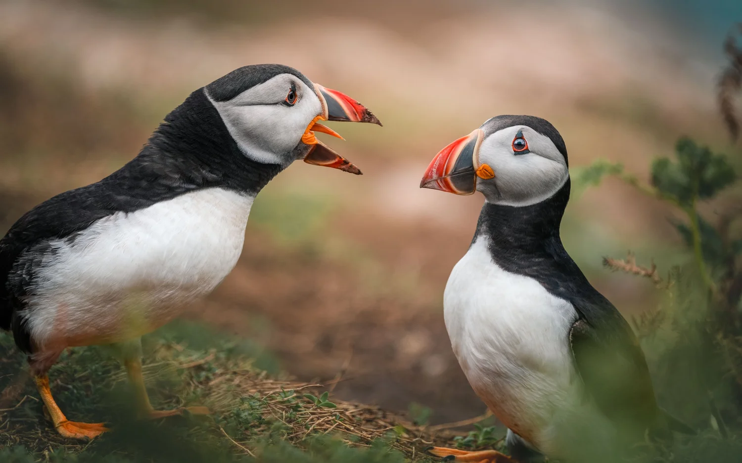 Blog 3 — Gamander López