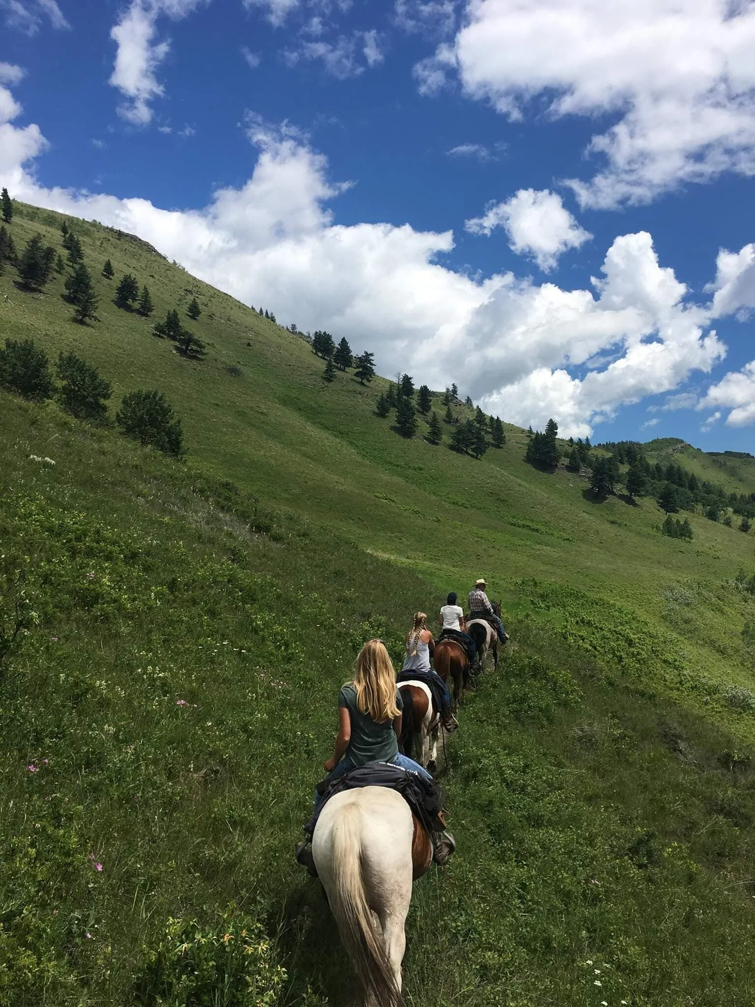 Horseback Overnight Riding Packages — Saddle Peak Trail Rides