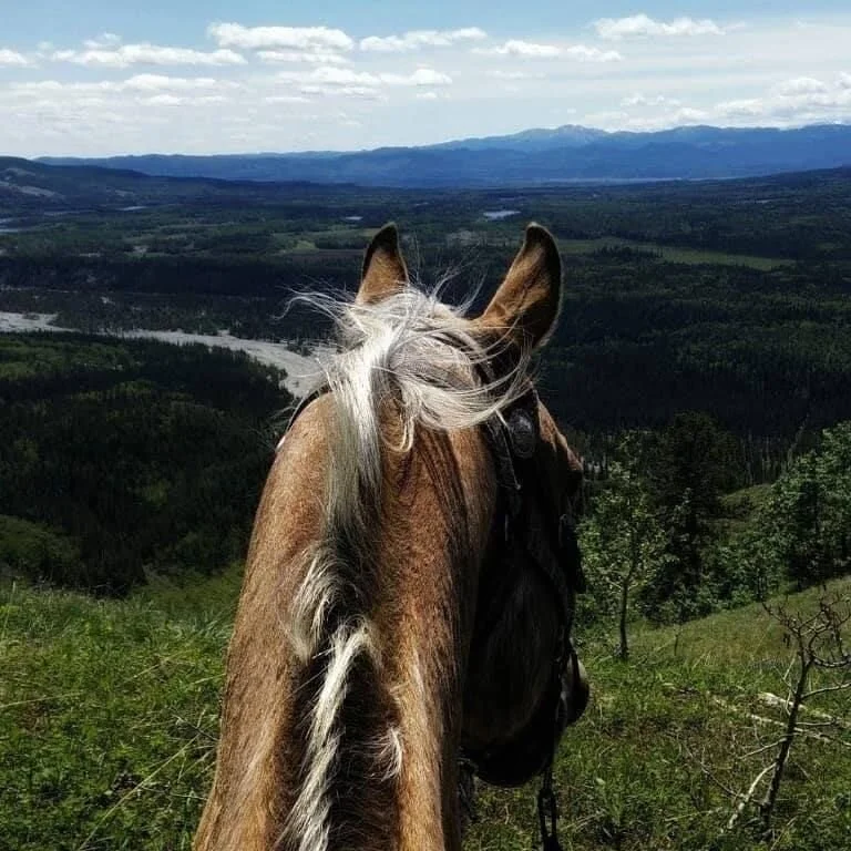 Horseback Overnight Riding Packages — Saddle Peak Trail Rides