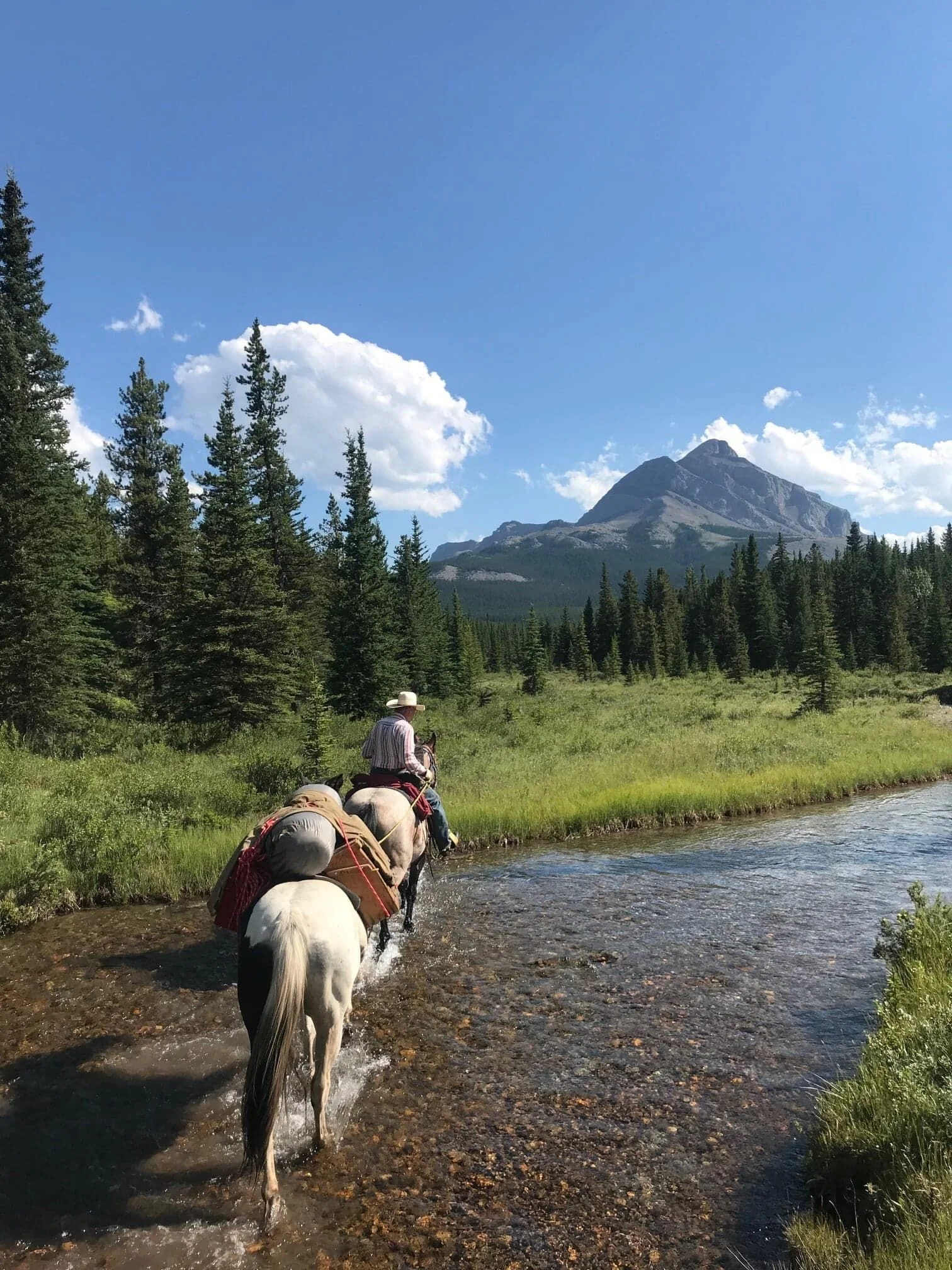 Hourly Day Rides — Saddle Peak Trail Rides