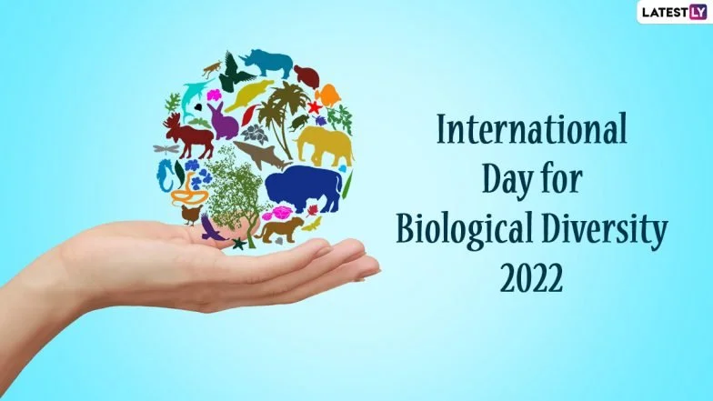 International Day of Biological Diversity: Preserve Our Ecosystems ...