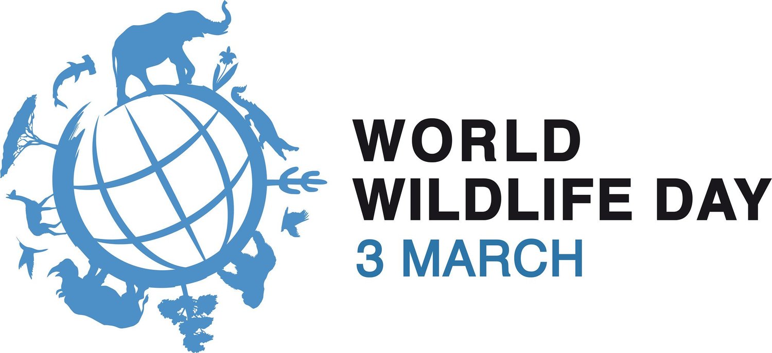 Celebrate World Wildlife Day: Protect Our Planet's Biodiversity ...