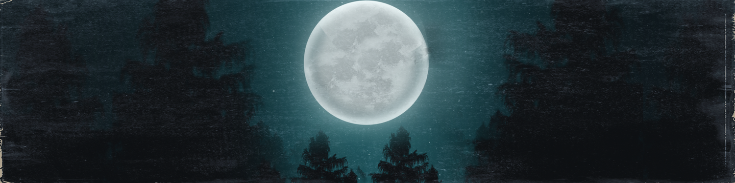 This Paranormal Life