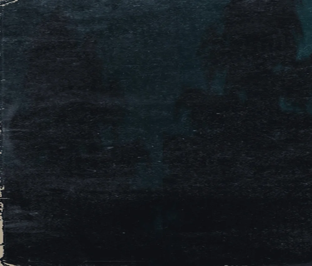 This Paranormal Life