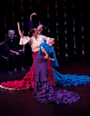 Zorongo Flamenco Dance Theatre — Marine Candlelight Series
