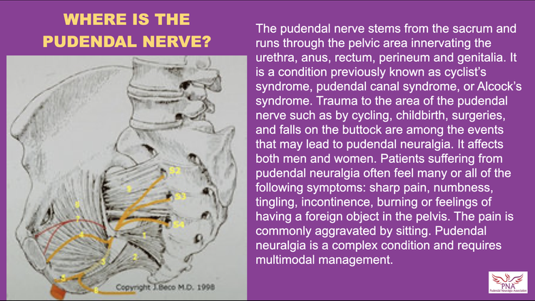 Pudendal Neuralgia Association, Inc.