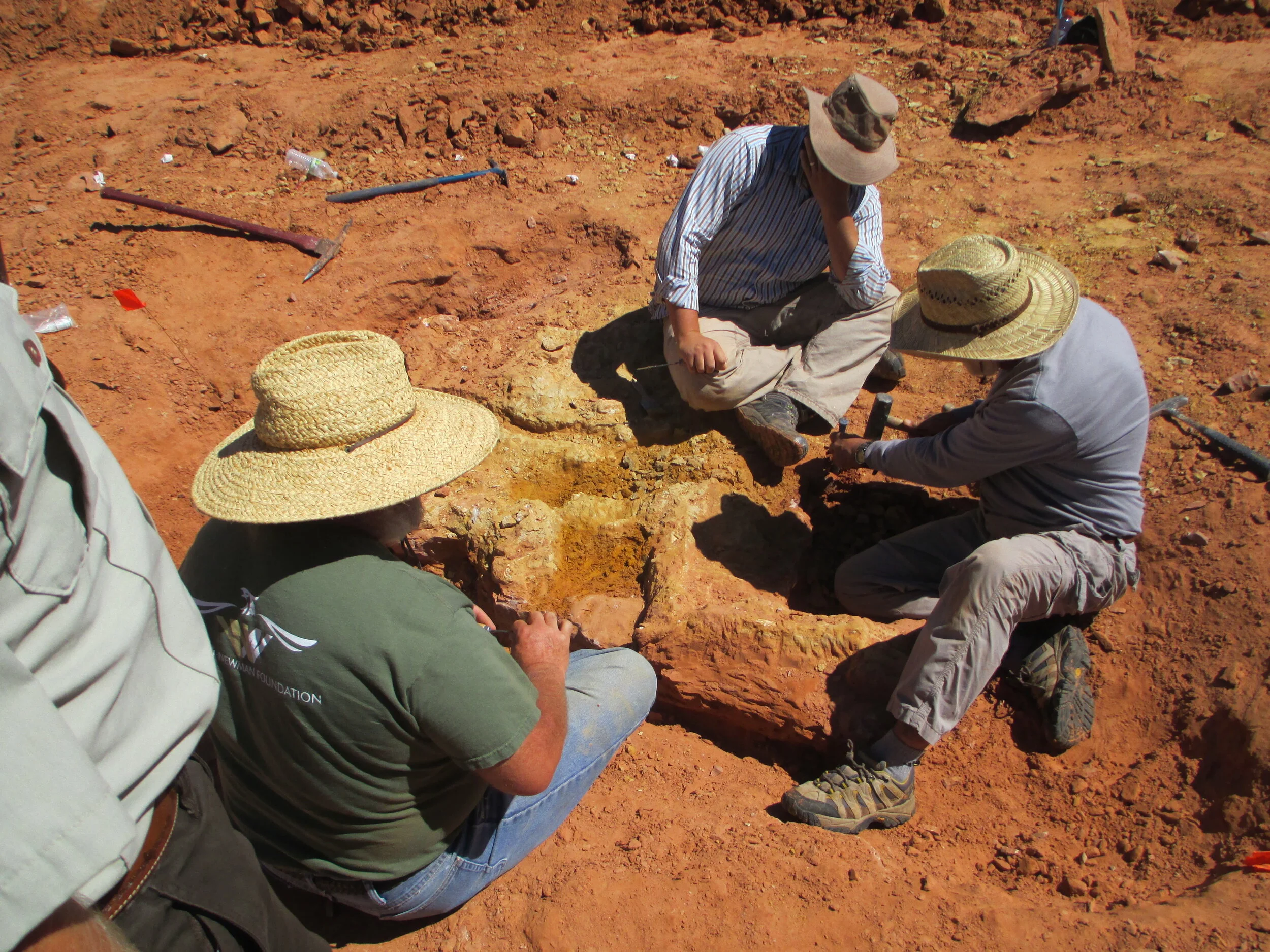 Cultural Resource Surveys — Reagan Smith