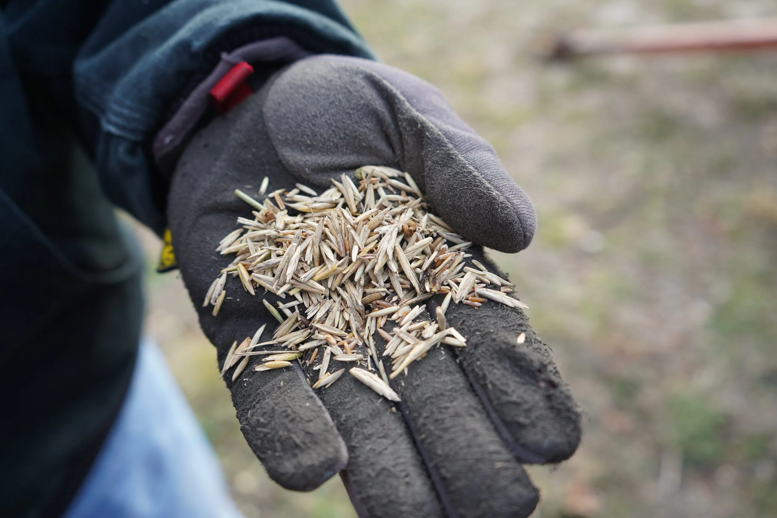 Michael Fields Agricultural Institute