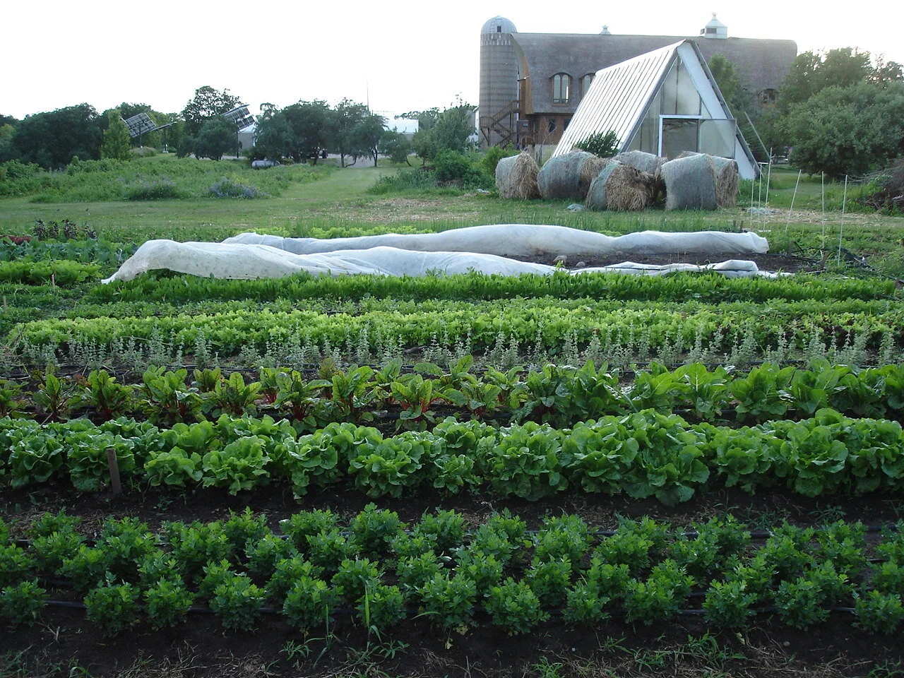 Michael Fields Agricultural Institute