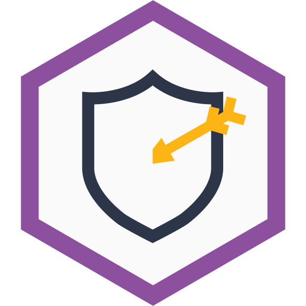 Web App Security Testing