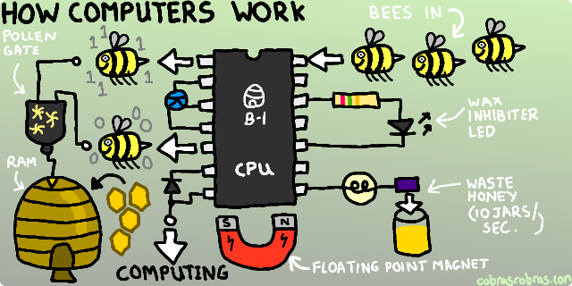 This Major Vulnerability Could Fill Your Computer with Bees