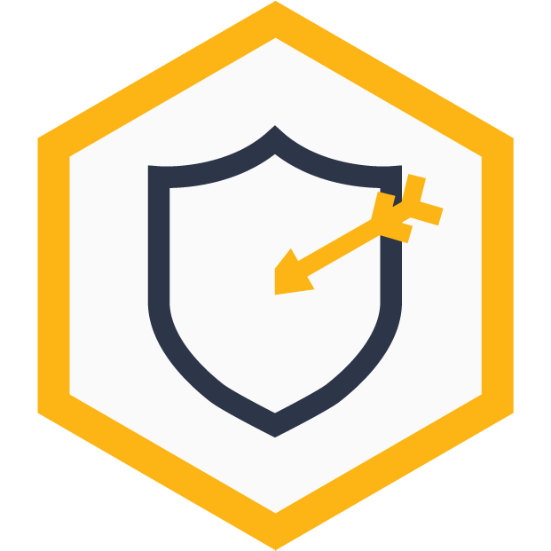 Penetration Testing (Pen Testing)