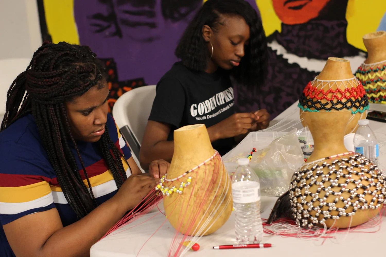 Summer Youth Employment Program — Youth Opportunities Unlimited