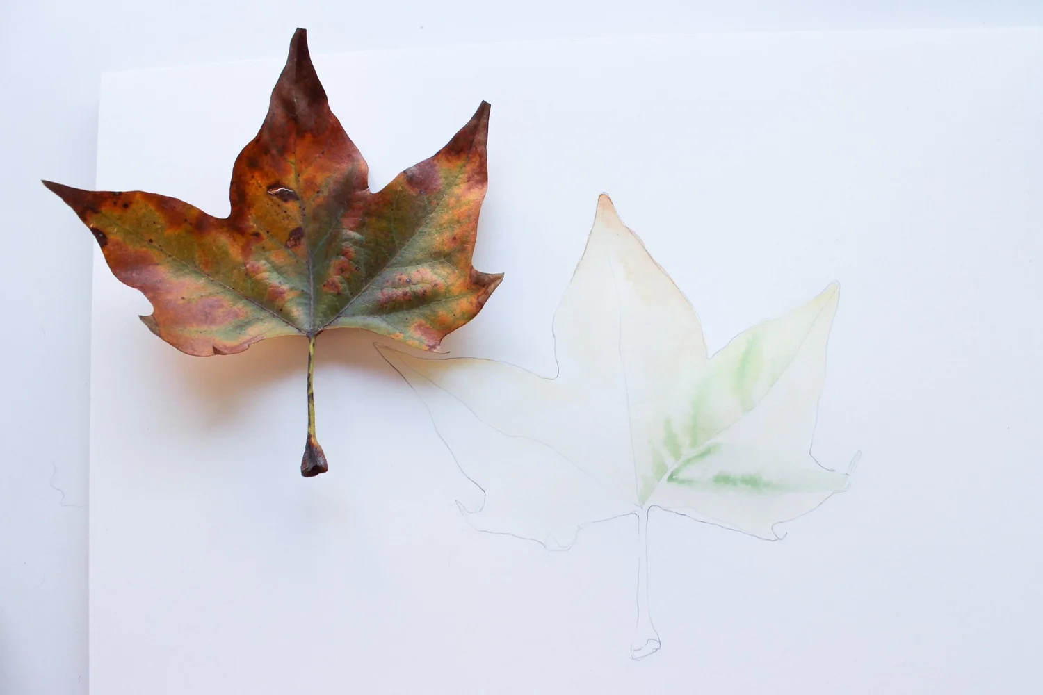 How to Paint Fall Leaves with Watercolor — The Last Pigment ...