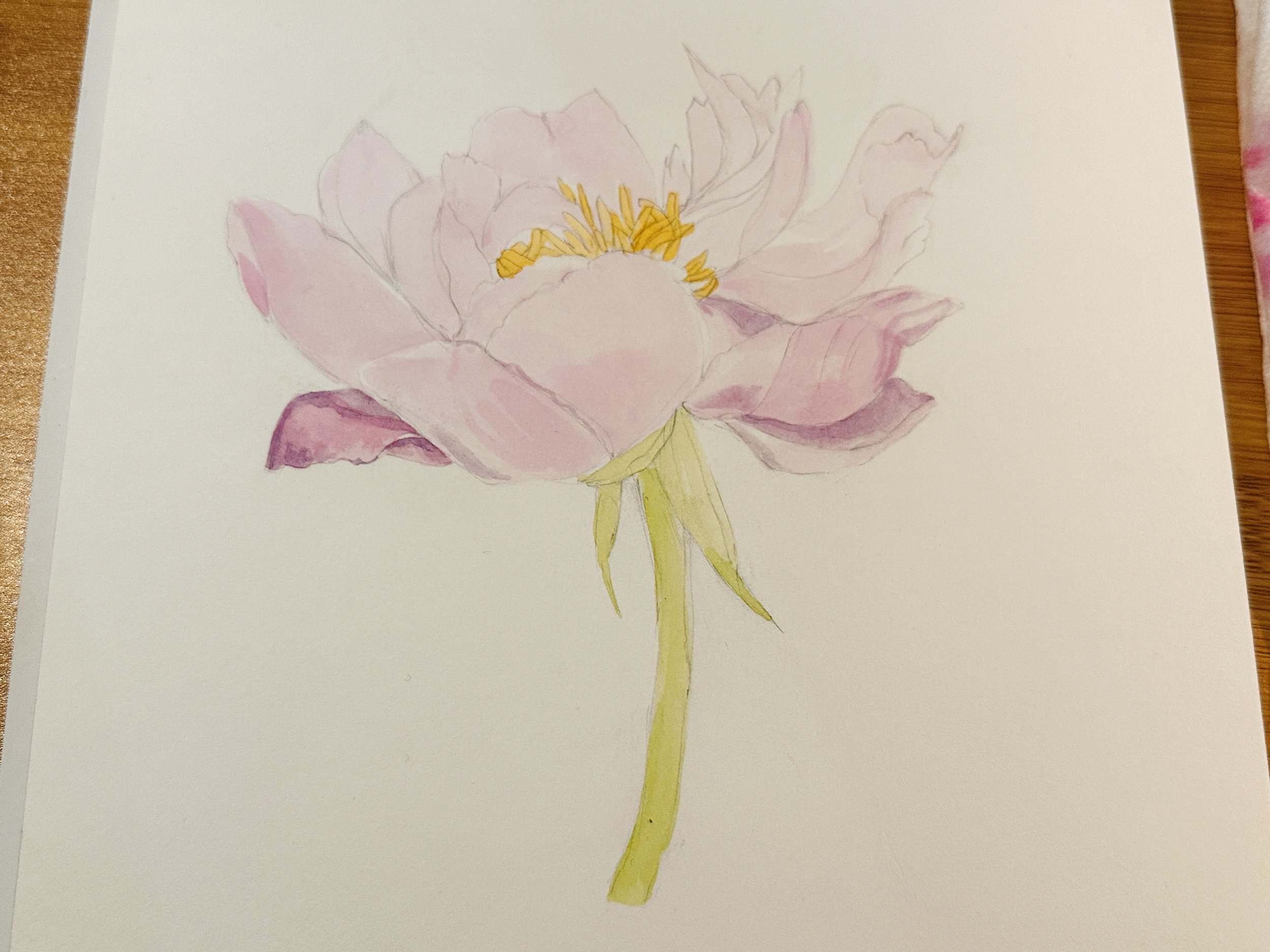 How to Paint Watercolor Peonies — The Last Pigment | Watercolor ...