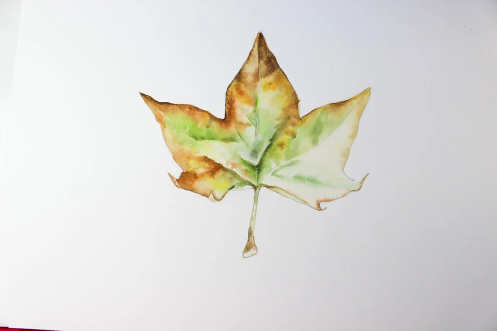 How to Paint Fall Leaves with Watercolor — The Last Pigment ...