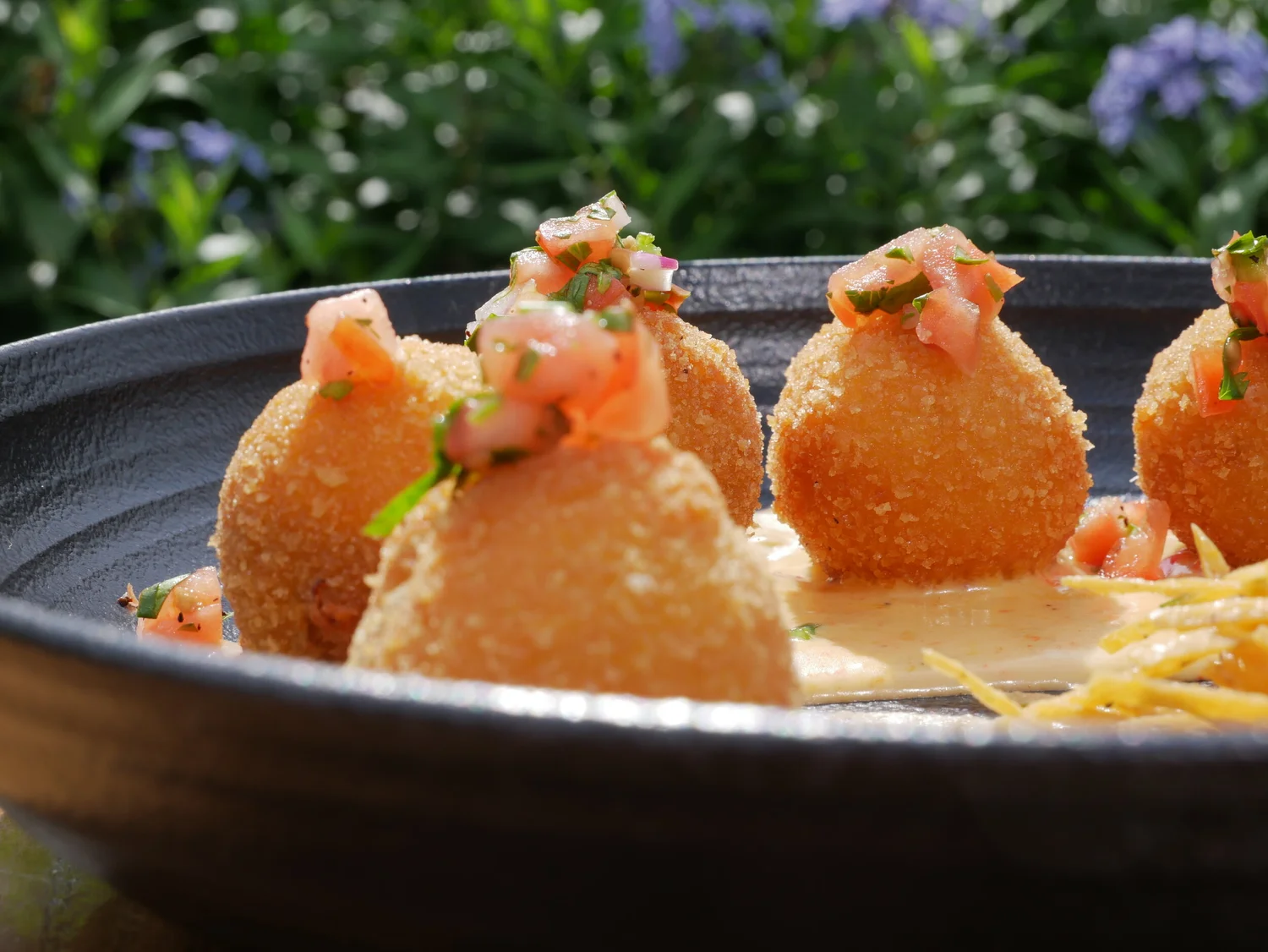 Teddy & The Bully Bar | Discover Dining Delights