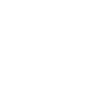 The Choice Foundation