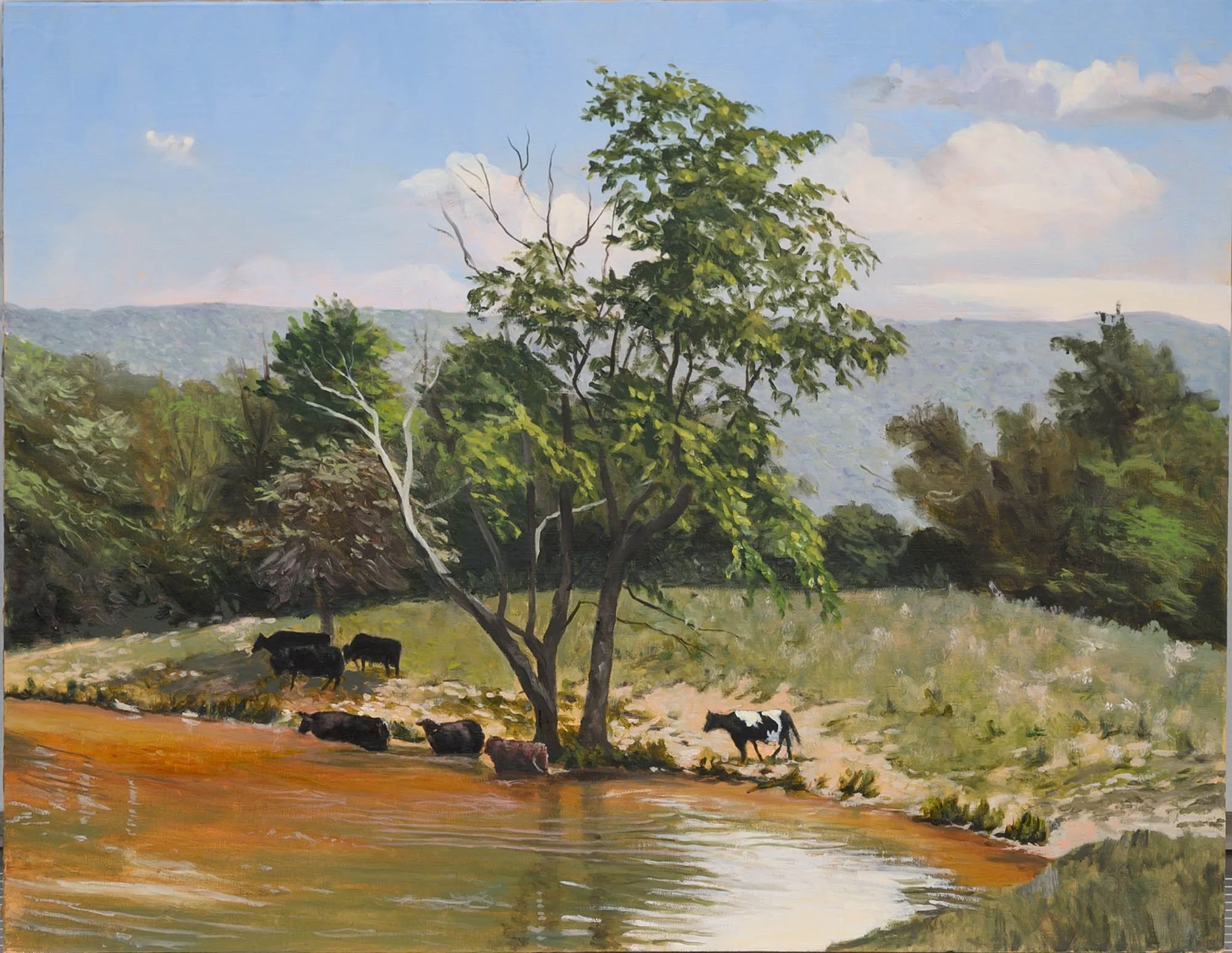 Corn Seedlings — Ramey Landscapes