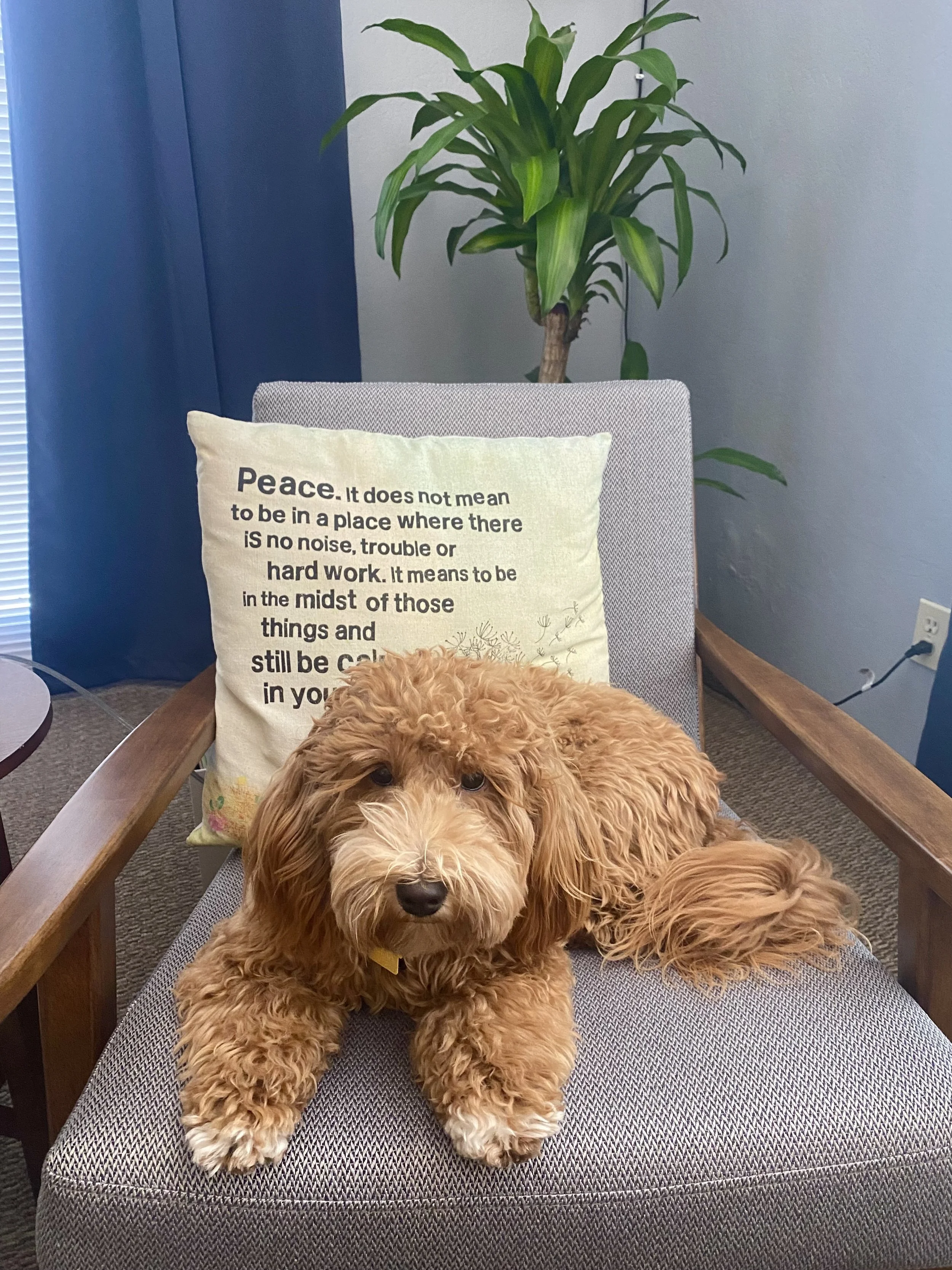 About Us — Be Balanced Counseling