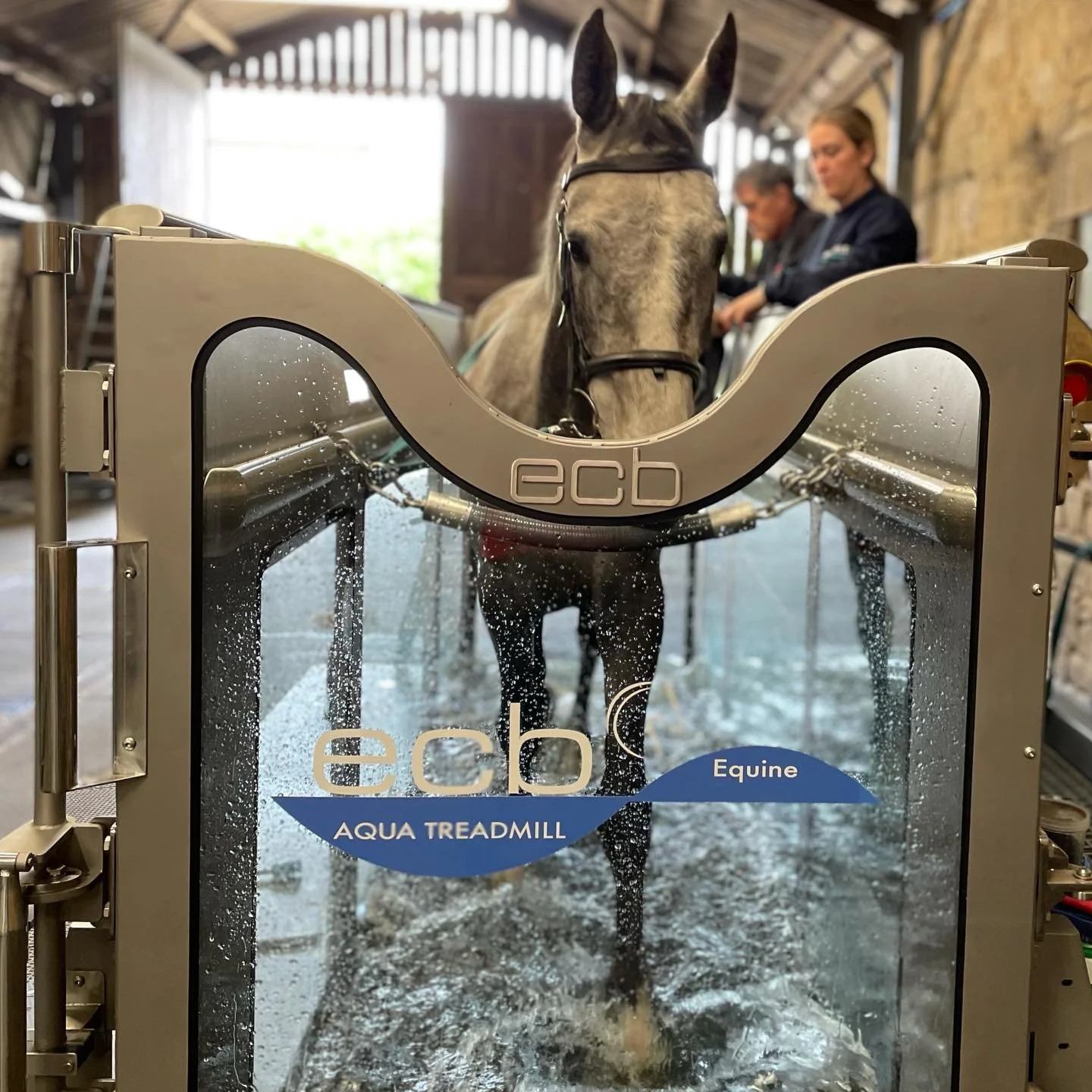 Seven Mile Equine - Price List — Hydrotherapy & Halotherapy