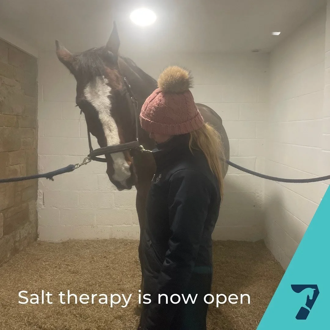 Seven Mile Equine - Price List — Hydrotherapy & Halotherapy
