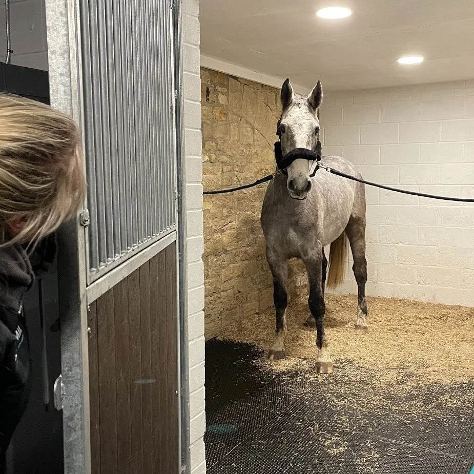 Hydrotherapy & Halotherapy