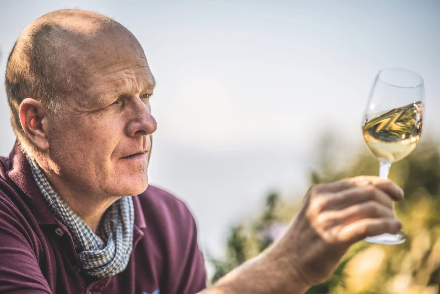 Domaine Blaise Duboux — Des Racines et des Vins