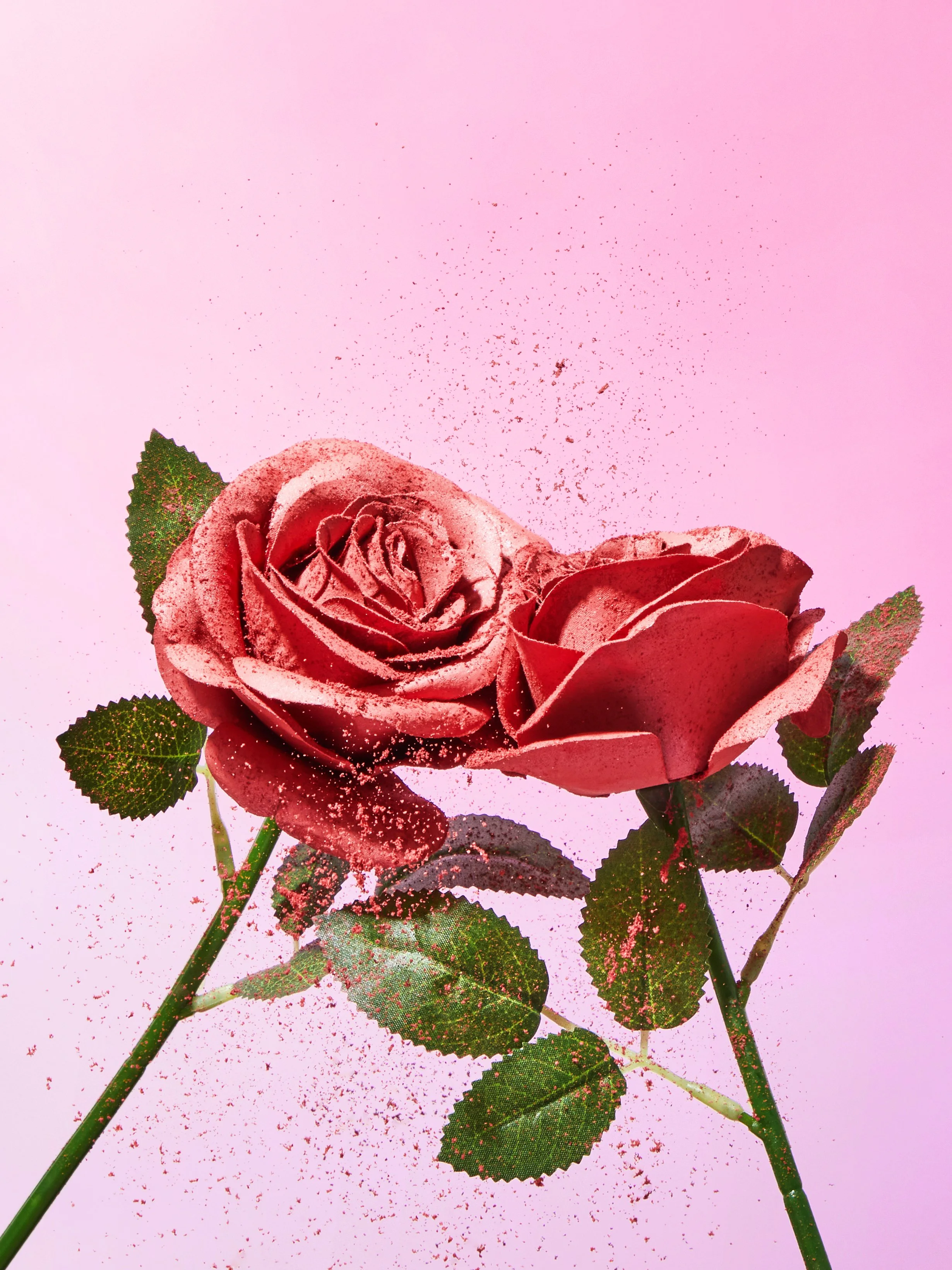 SHEGLAM Unveils Limited Edition Blush for Breast Cancer Awareness Month ...