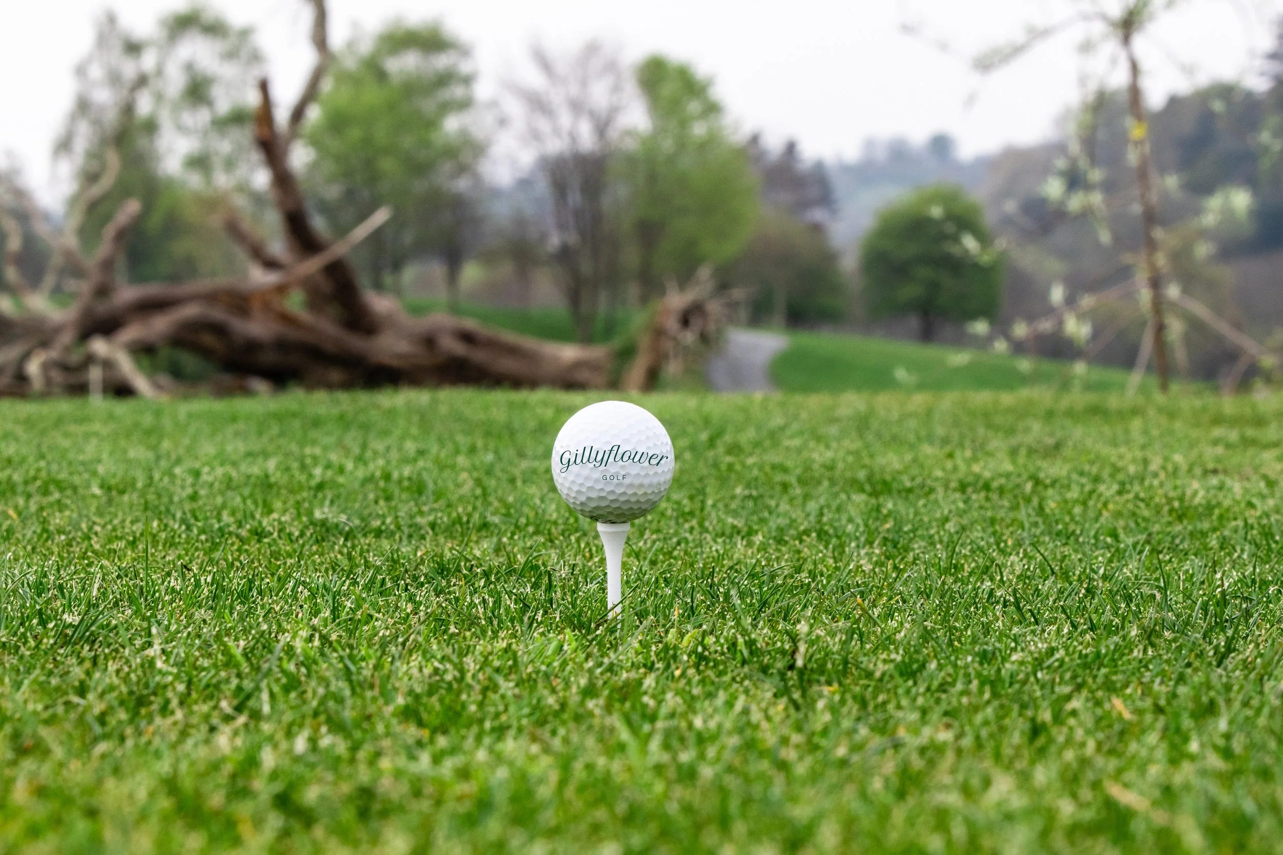 Gillyflower Golf Course: Golf Course in Cornwall - near Lostwithiel ...