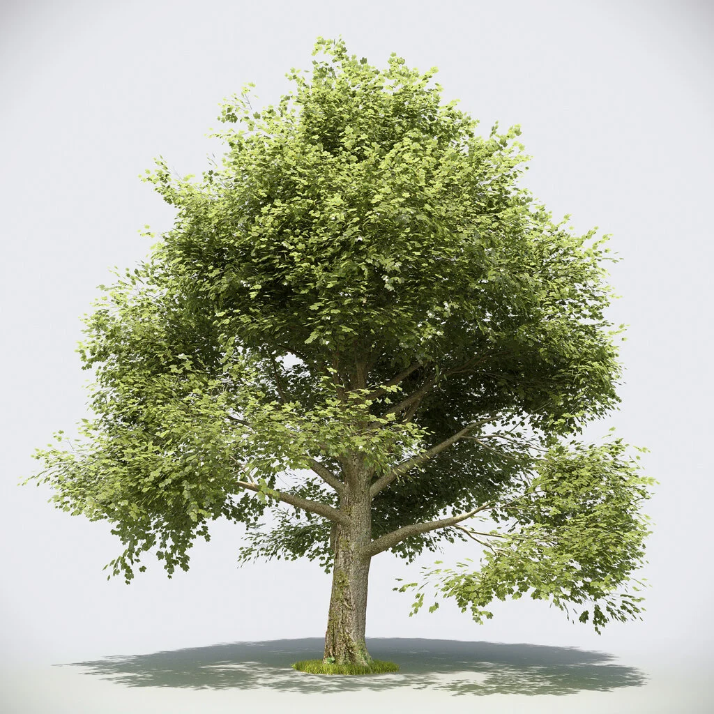 How to create realistic 3D trees — Visual Workshop