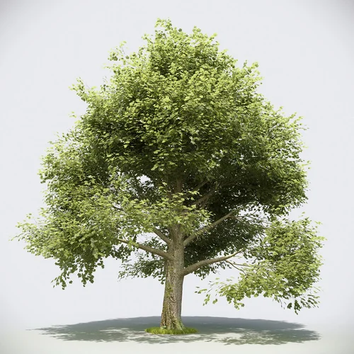How to create realistic 3D trees — Visual Workshop