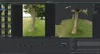 How to create realistic 3D trees — Visual Workshop