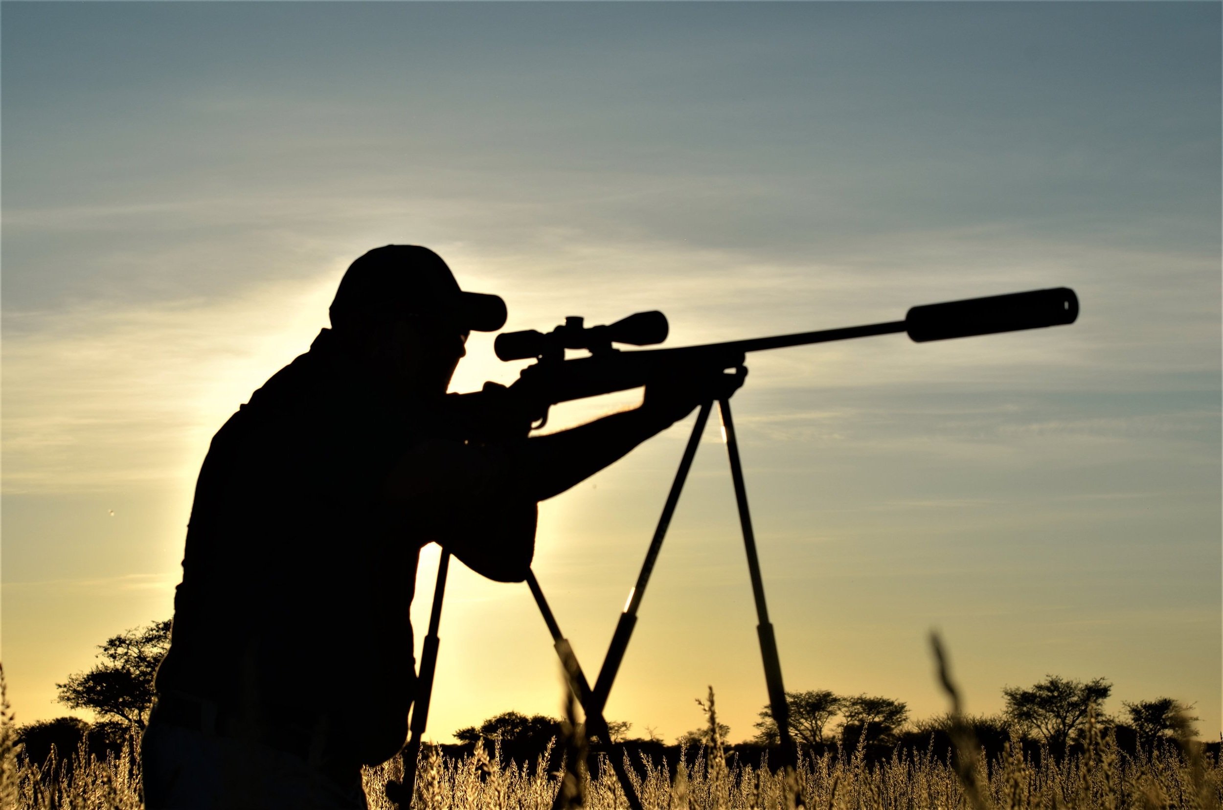 Plains Game Hunting Safari