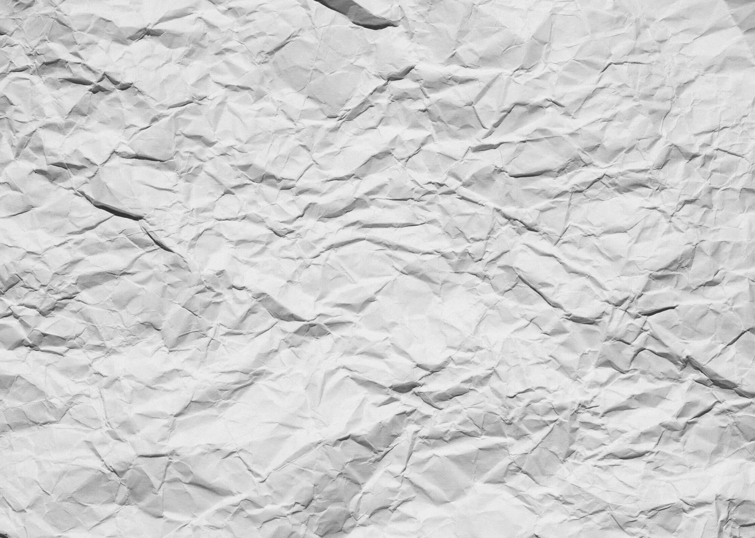 Portfolio — Carole Theisen