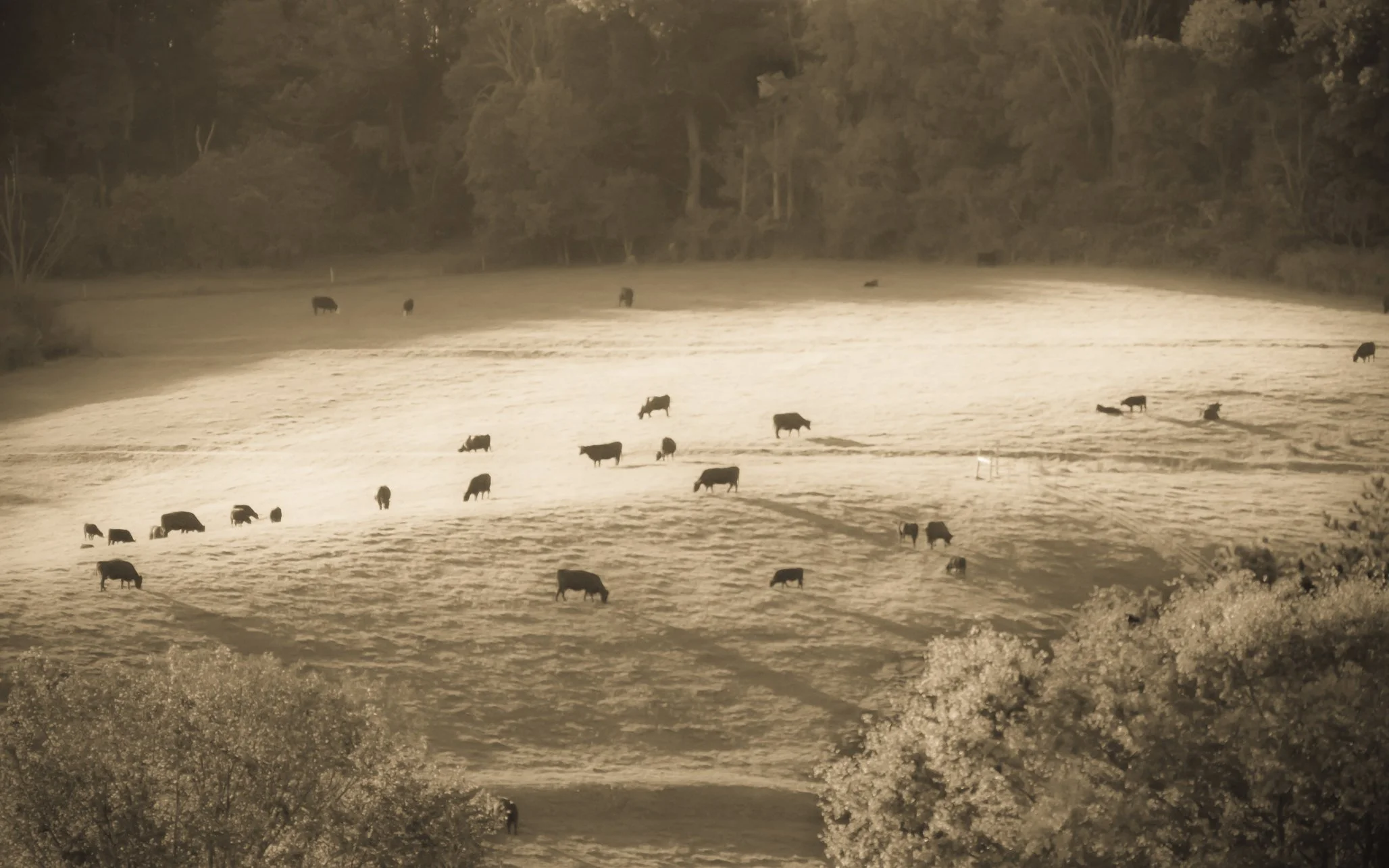 Spring Member Show — PhotoMidwest