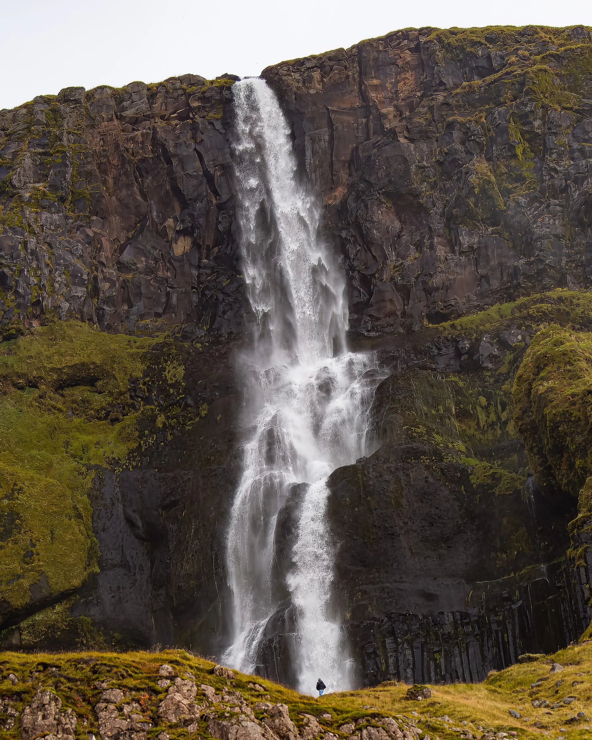 Spring Member Show — PhotoMidwest