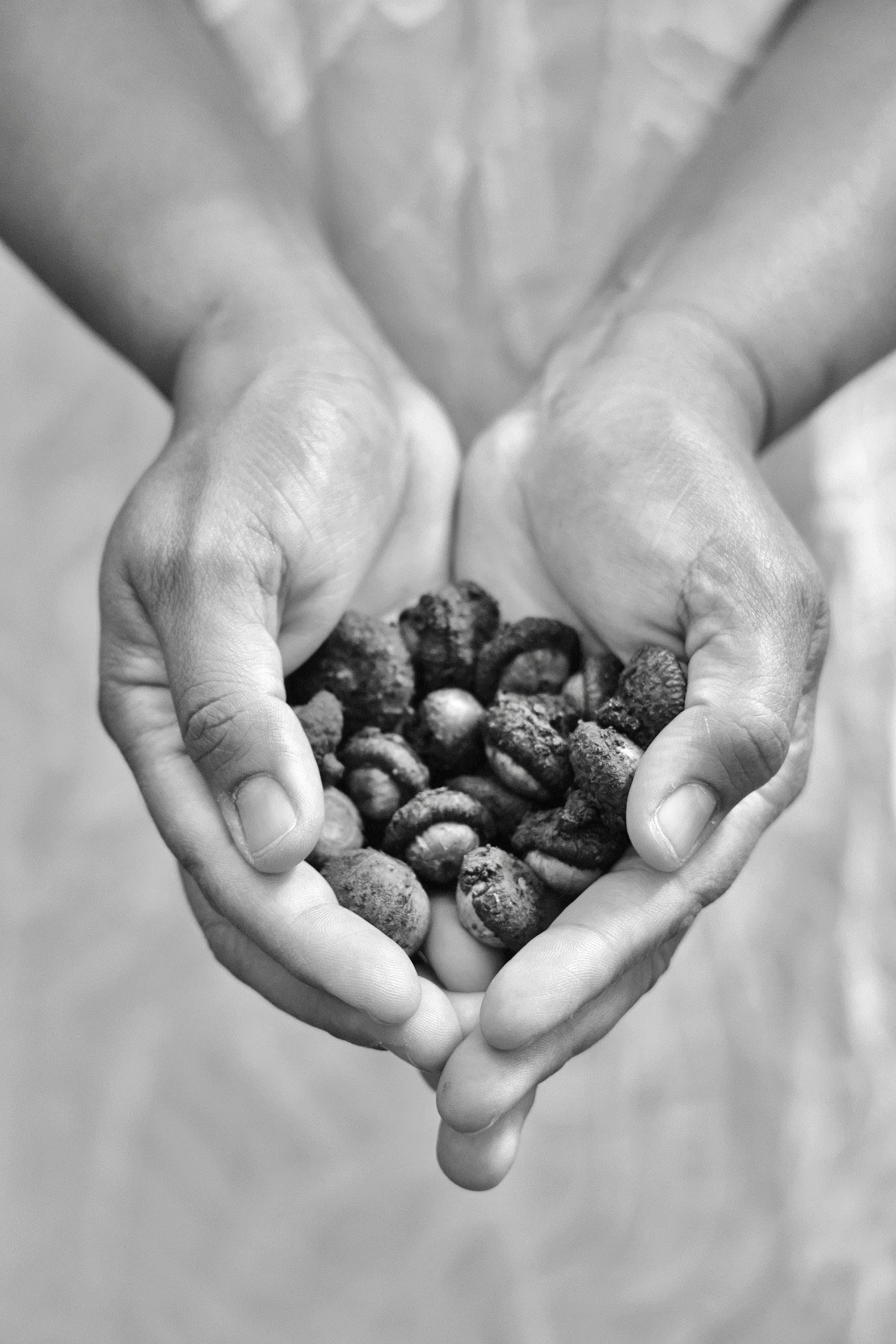 Spring Member Show — PhotoMidwest