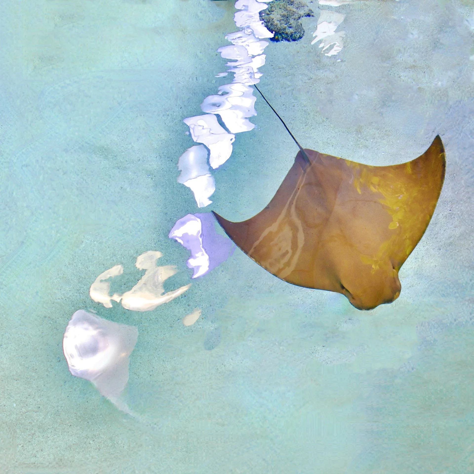 Nature — PhotoMidwest