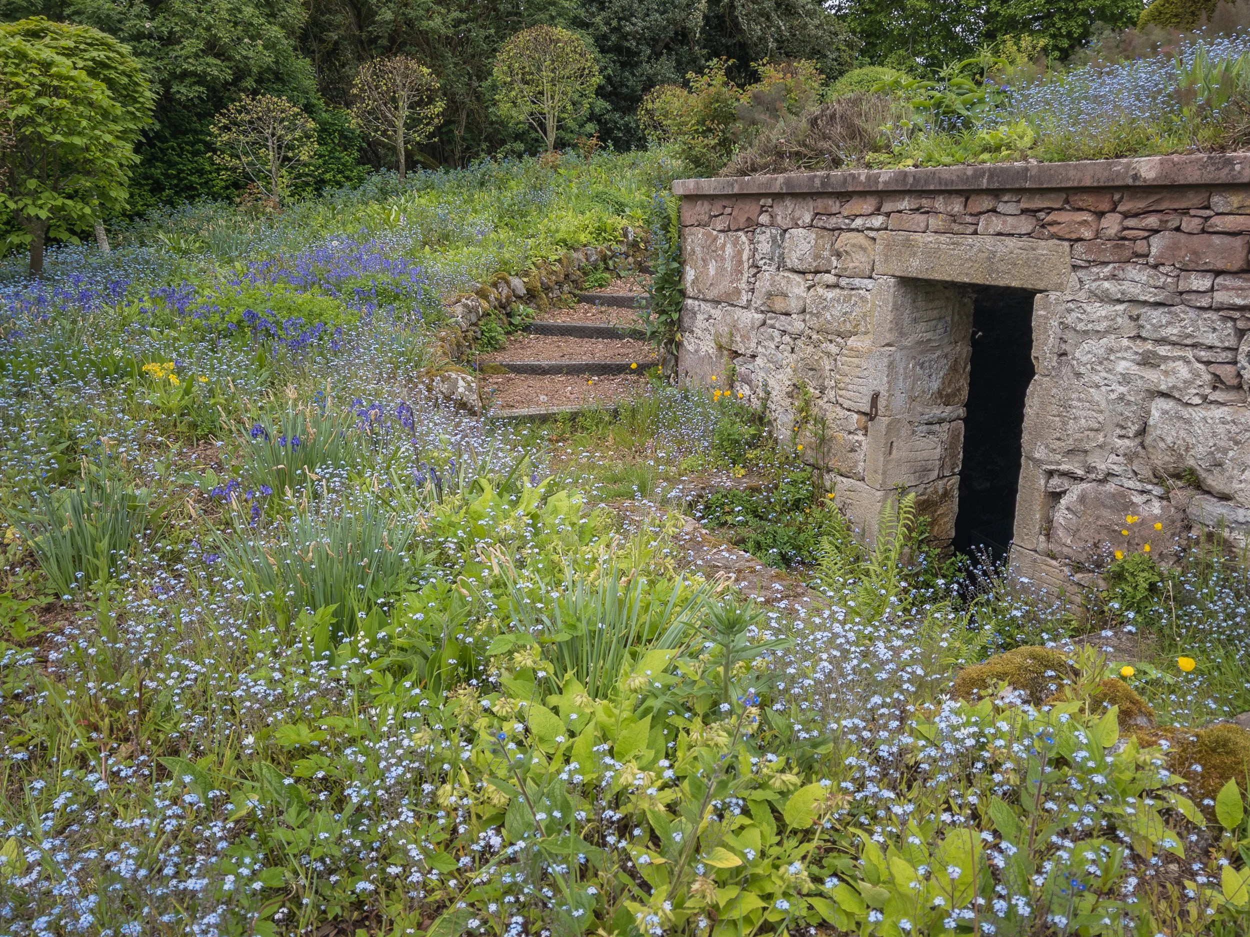 Member Exhibits 2022 Festival — PhotoMidwest