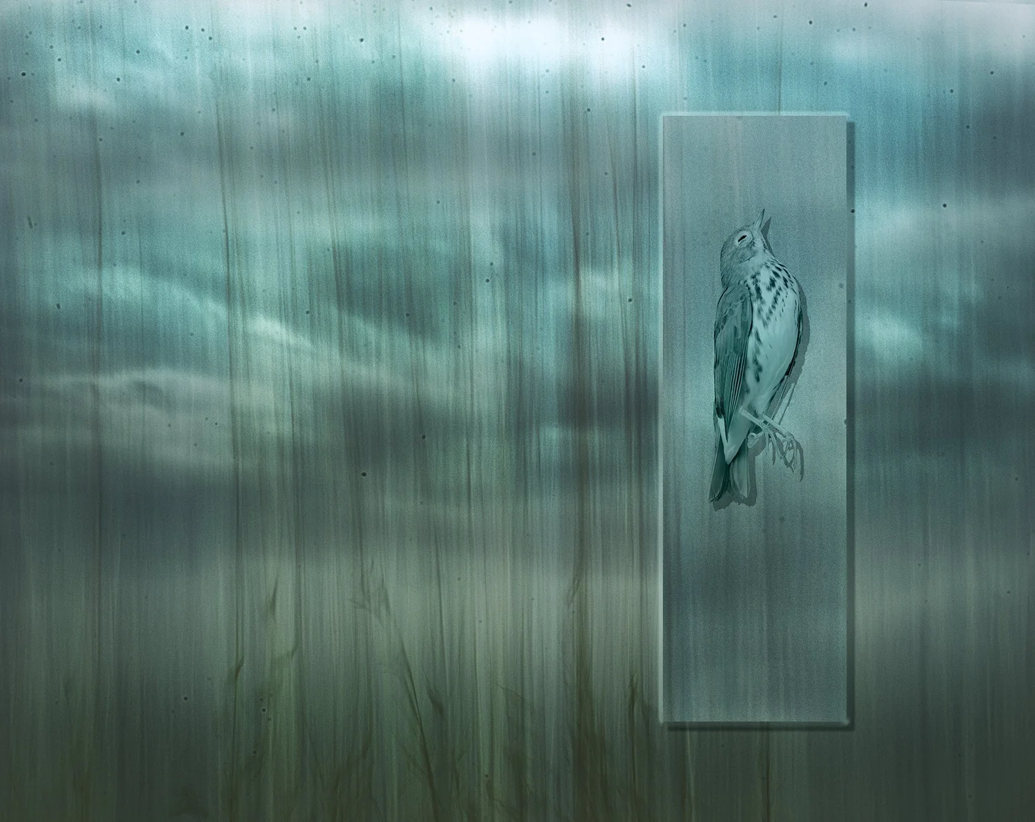 Biennial 2024 - For the Love of Light — PhotoMidwest