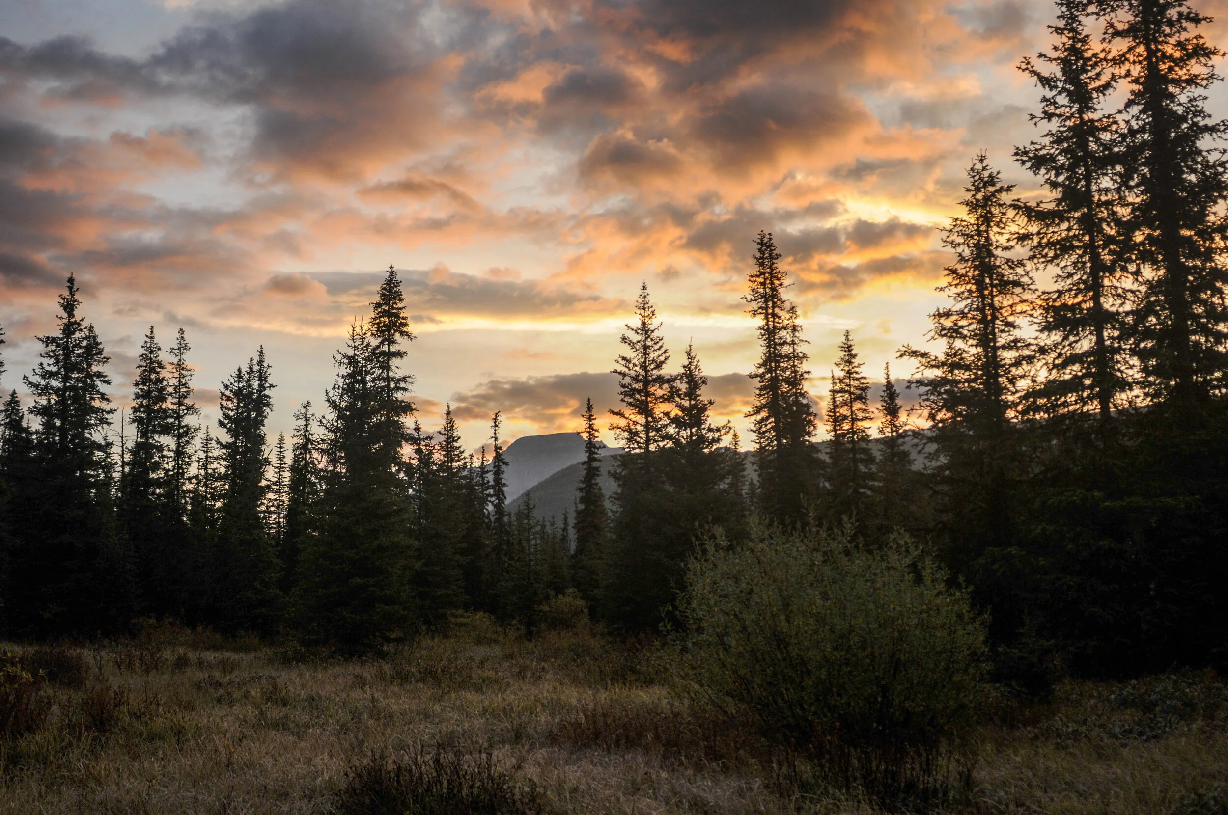 Frequently Asked Questions — Shadow Lake Lodge