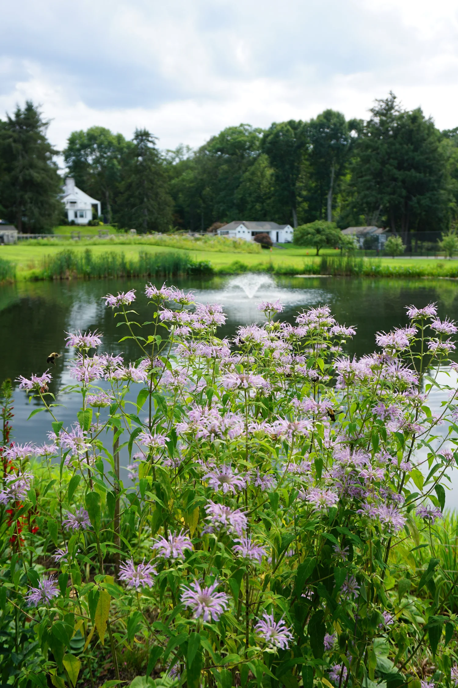 Landscape Eco-transformation — Plan it Wild