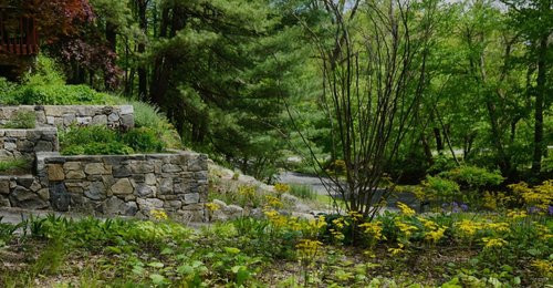 Plan it Wild — Native Landscape Design