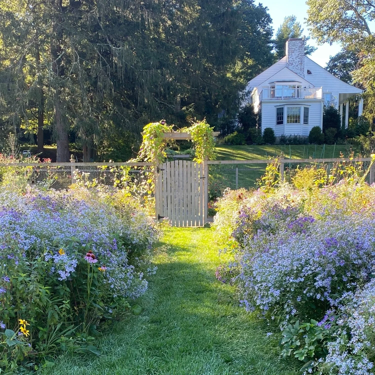 Plan it Wild — Native Landscape Design